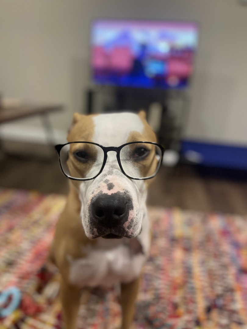 For Your Consideration – Complex Distractions